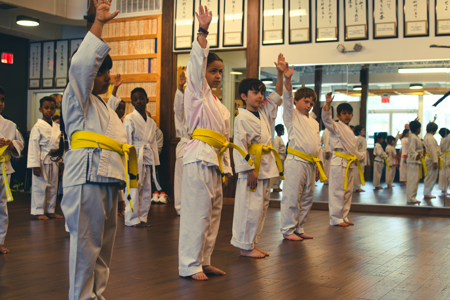 Classes – Okinawan Karate Dojo