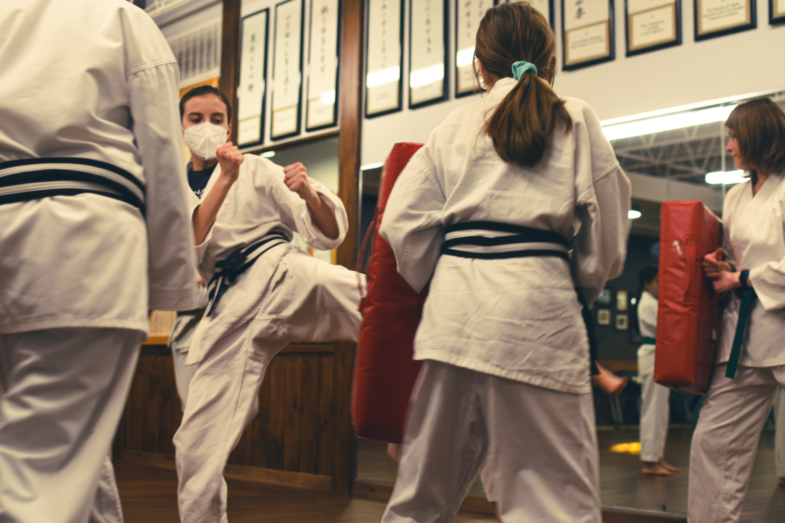 Classes – Okinawan Karate Dojo