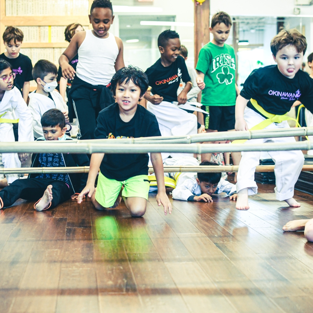 Summer Camp – Okinawan Karate Dojo